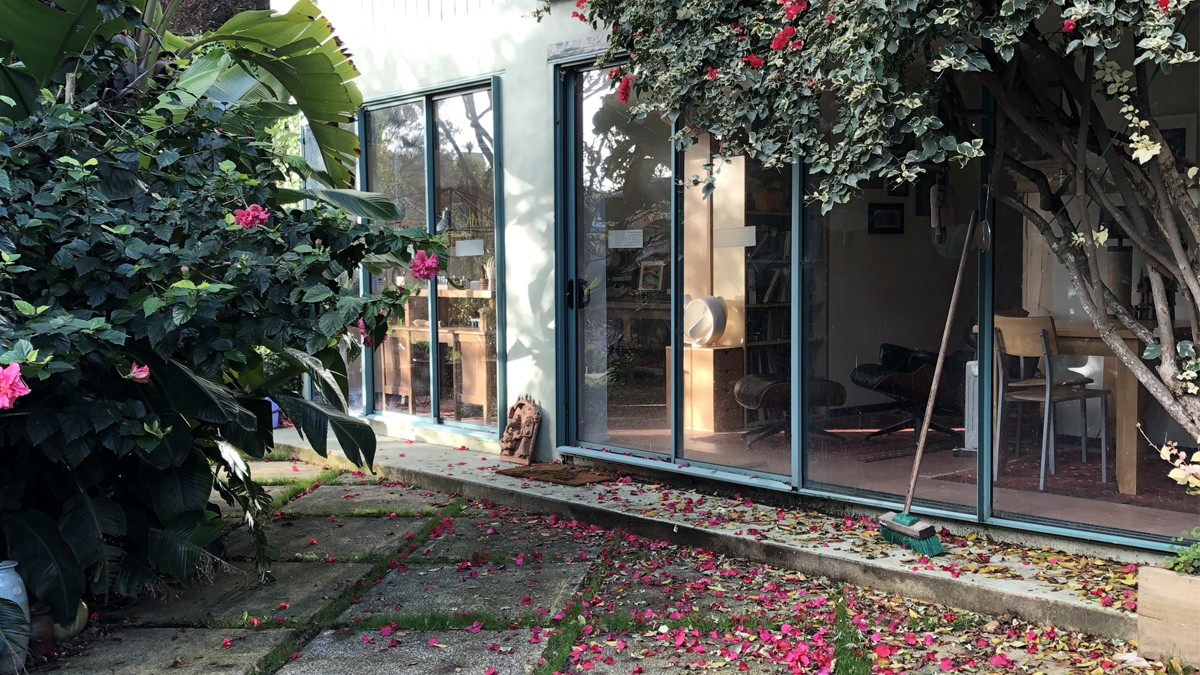 Contact | Silvereye Studio